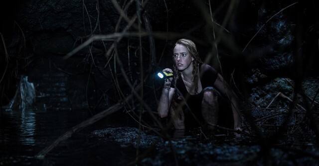 Watch Crawl Full movie Online In HD | Find where to watch it online on ...