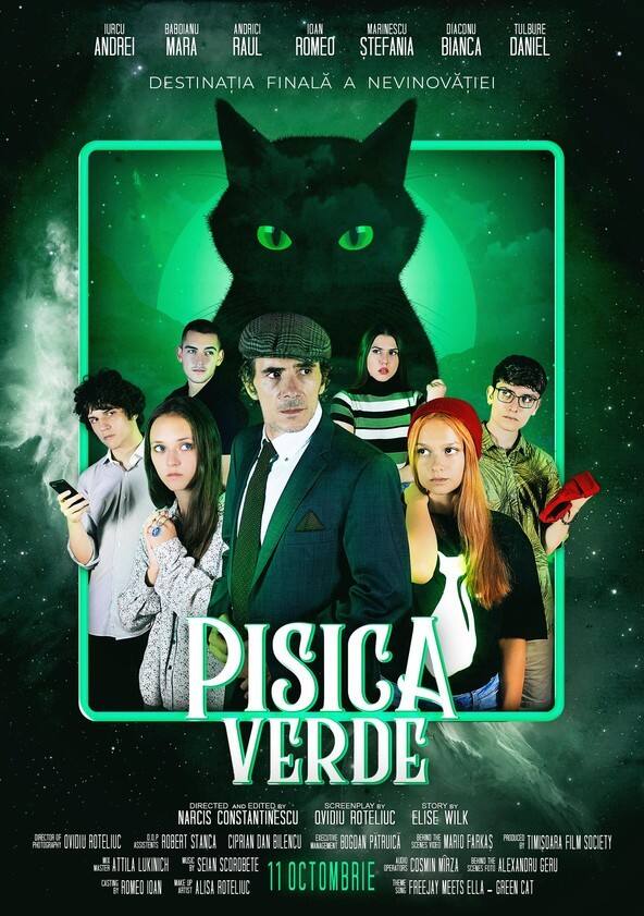 Watch Pisica Verde Full movie Online In HD | Find where to watch it ...